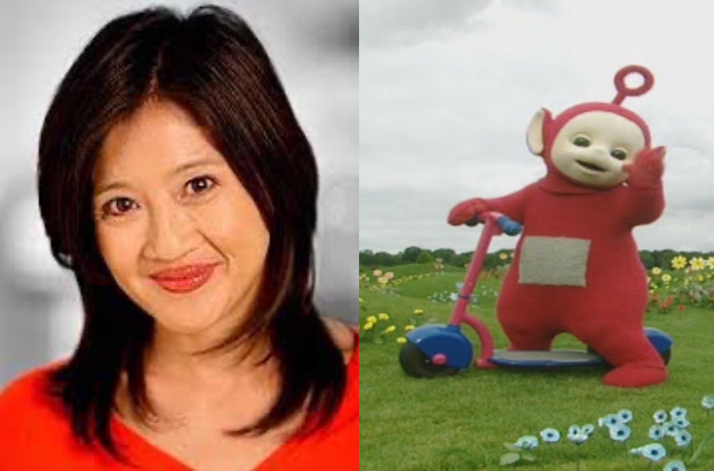Pui Fan Lee Pui Fan Lee : Actress Films, Episodes And Roles On