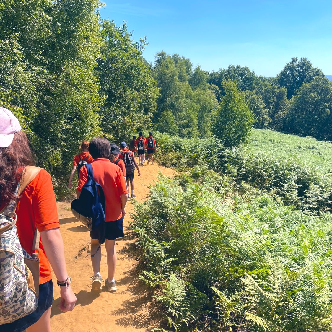 Home | George Abbot School