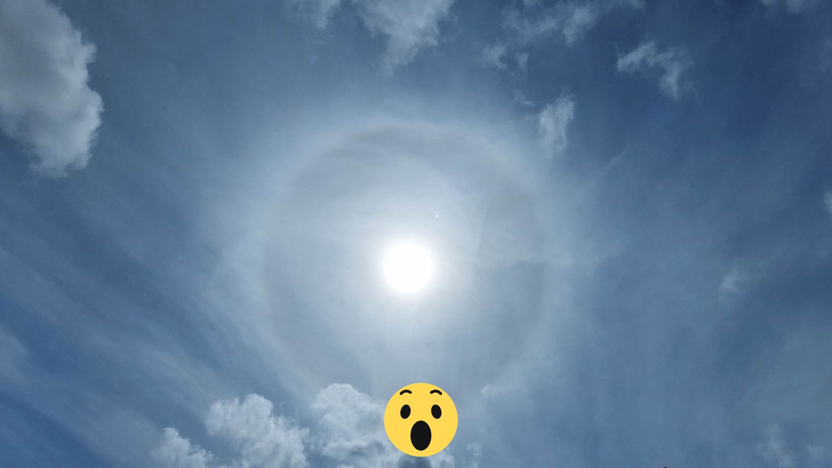 Buienradar (@BuienRadarNL) / Twitter