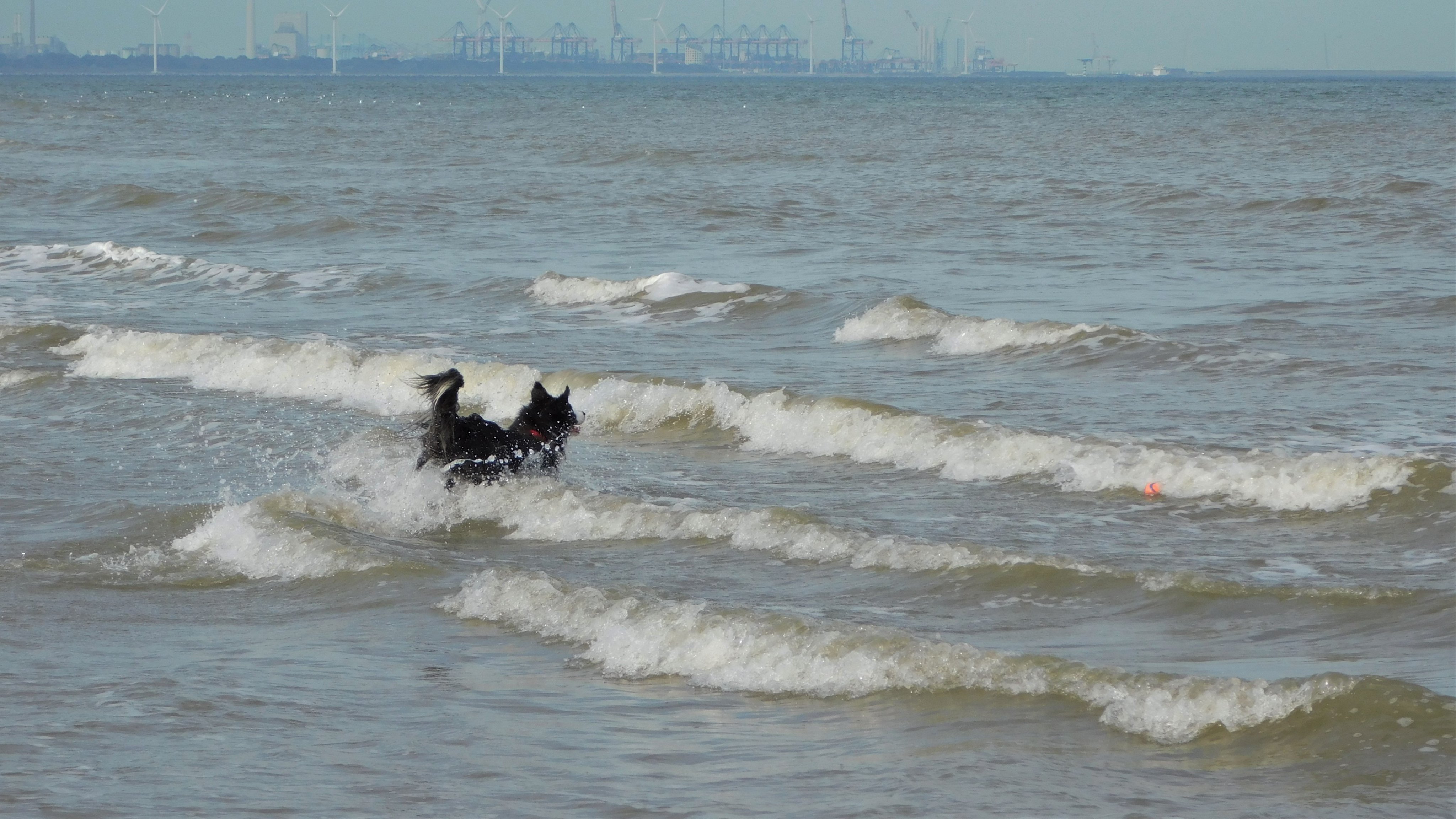 Buienradar (@BuienRadarNL) / Twitter