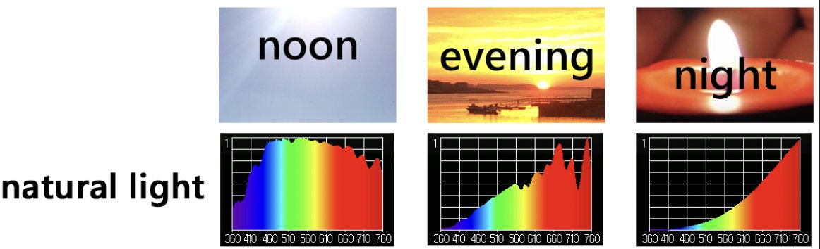 Shocking Truth: Blue Light is Destroying Your Sleep & Health. Light ...