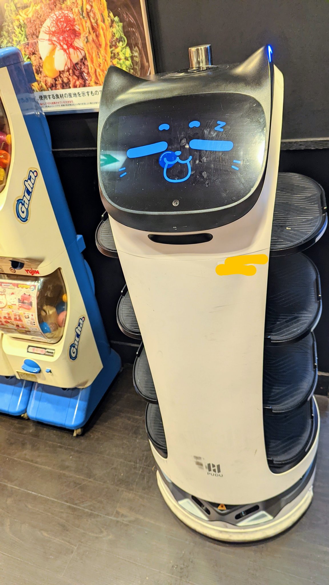 桜好きのカピバラ (@kapikapi_sakura) / Twitter