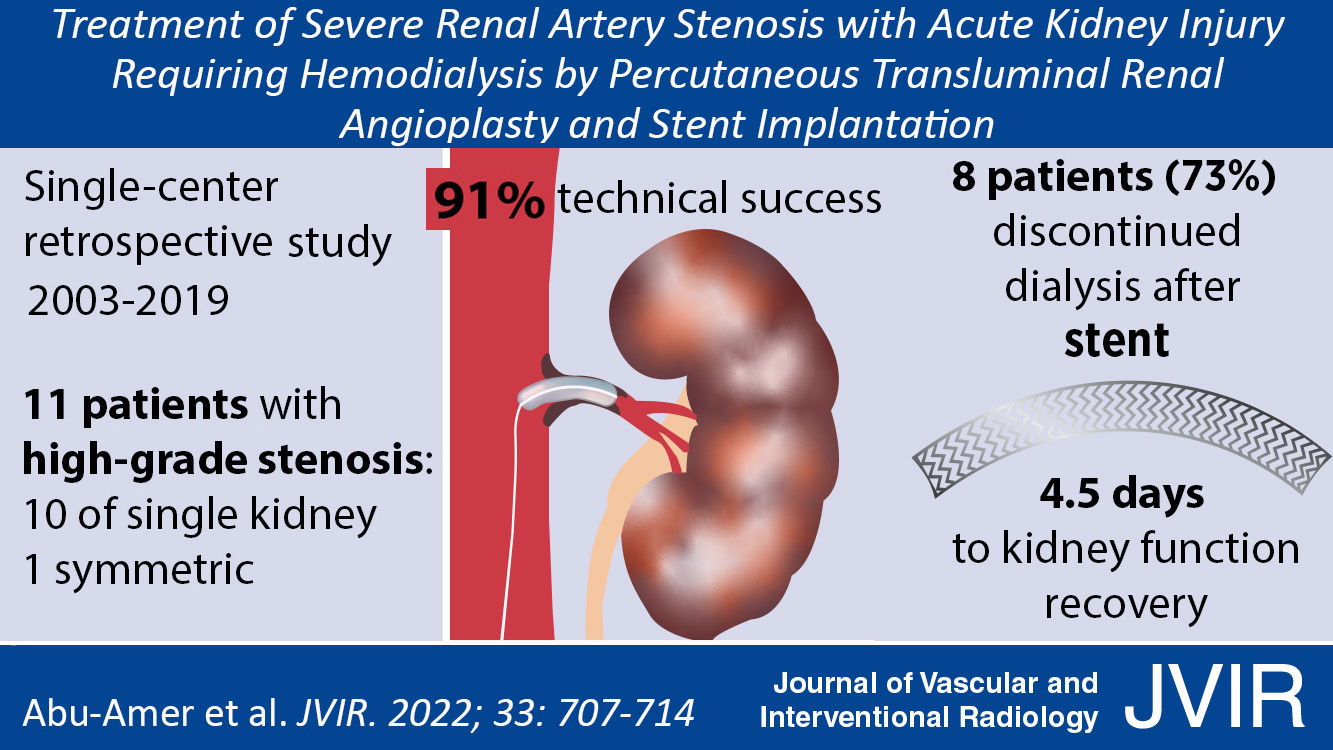 Renal Artery Stent