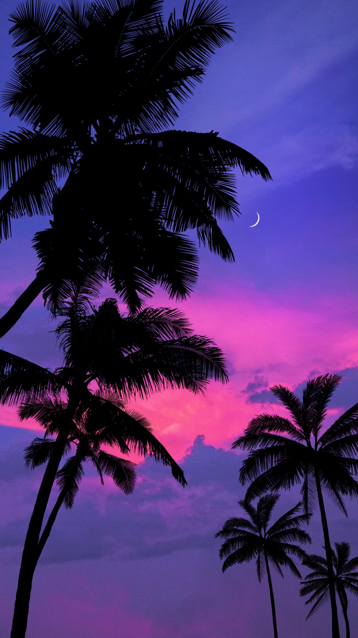 Purple Palm Trees Wallpaper Download Horizon Ocean Nature Purple Sky