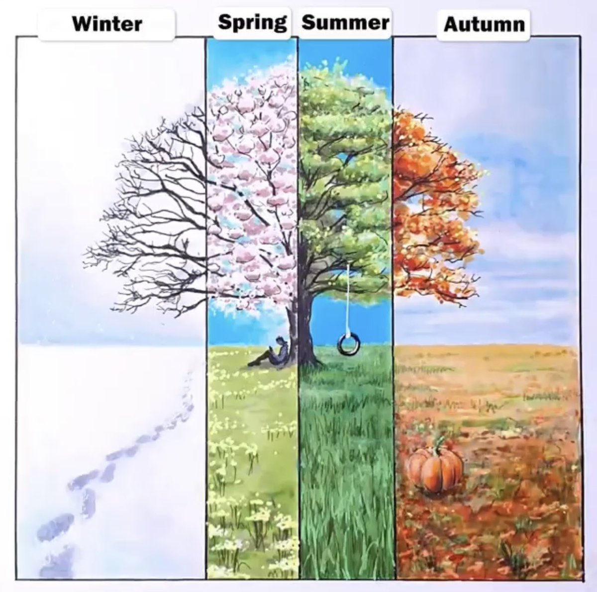 Banker on Twitter: "RT @icliff00: ~ The four seasons in one tree are ...