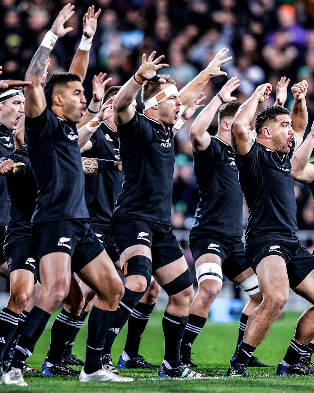 New Zealand All Blacks Wallpaper