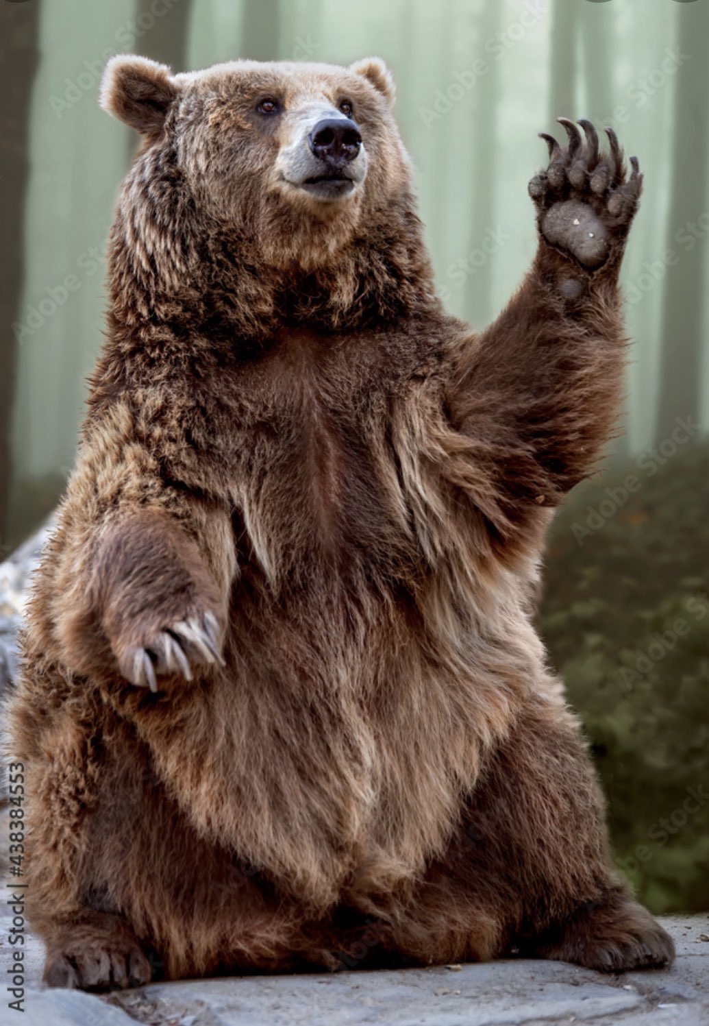 Bear Waving Goodbye Gif