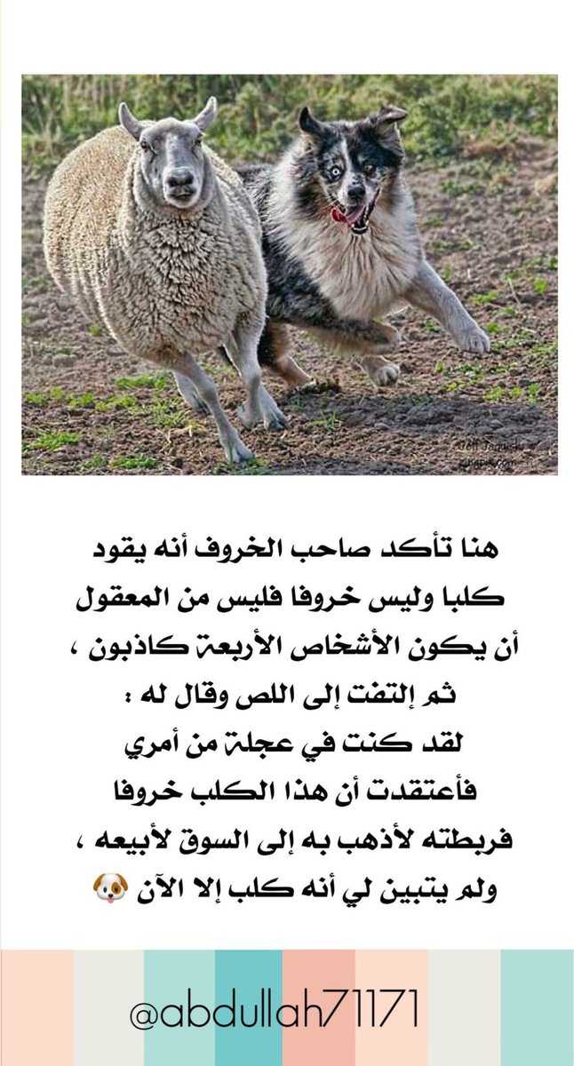 - المسلسل من Abdullah AL Humam @Abdullah7117 - رتبها