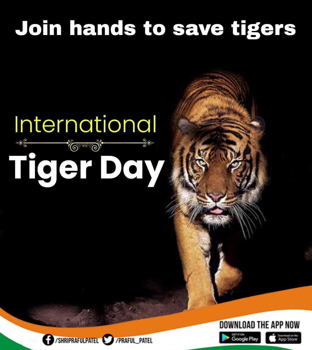 Save Tigers Now
