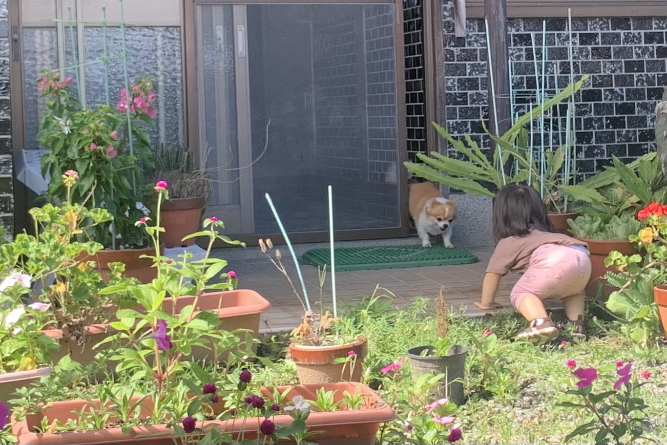 犬山紙子 on Twitter: "RT @chiwarwar: https://t.co/dnetykr7x1" / Twitter