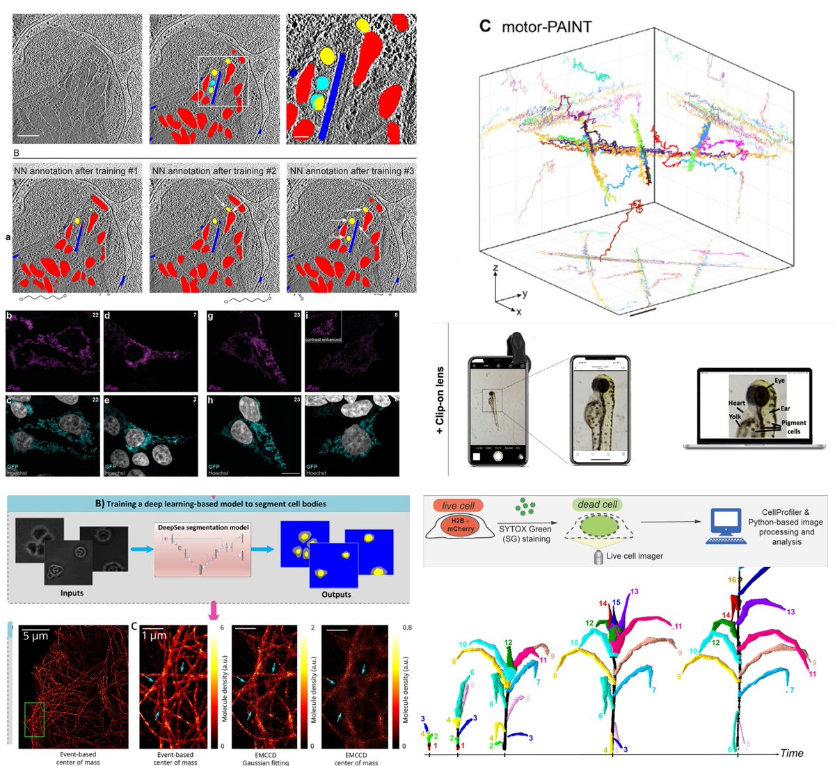 Euro Bioimaging