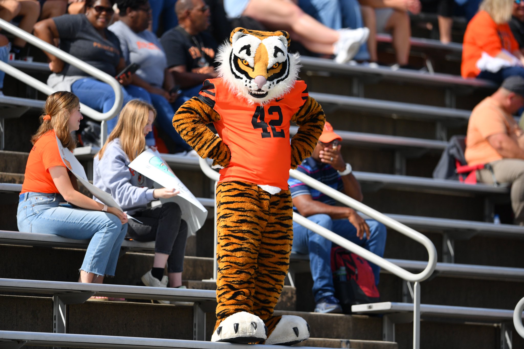 Princeton University Tigers