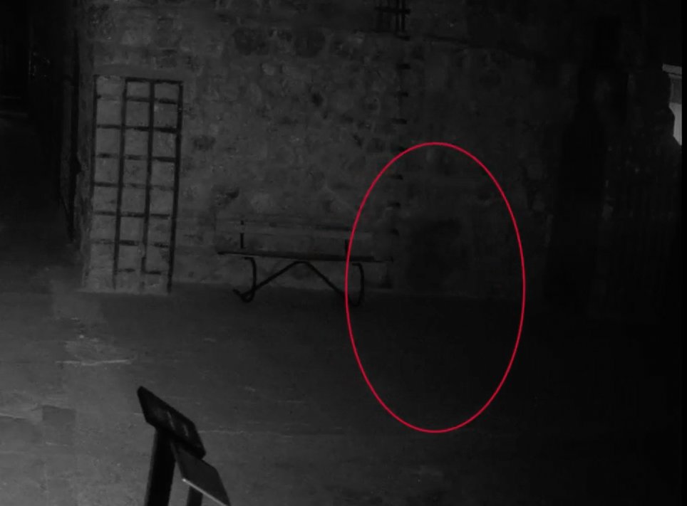 Real Ghost Images 2022