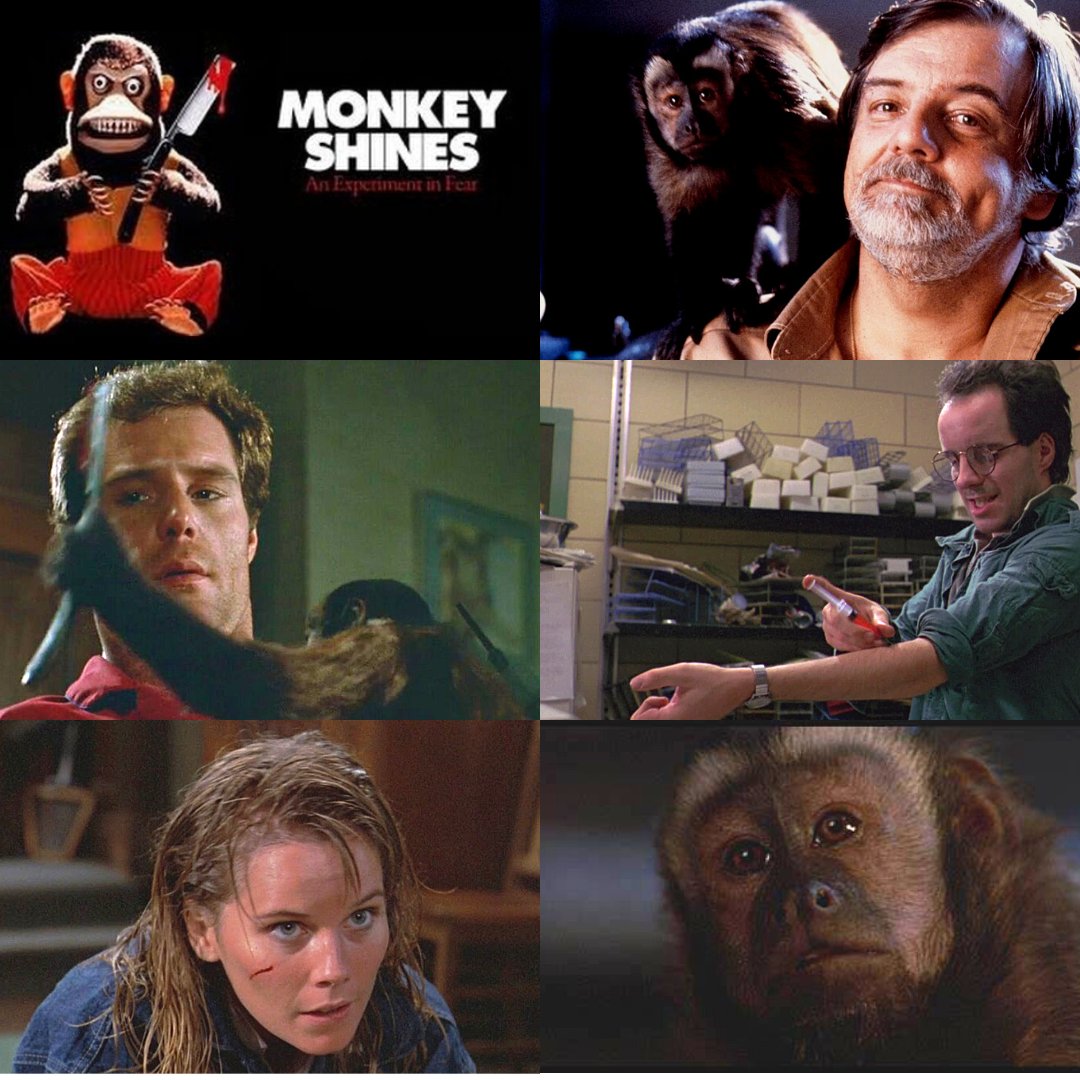 Jason Beghe Monkey Shines