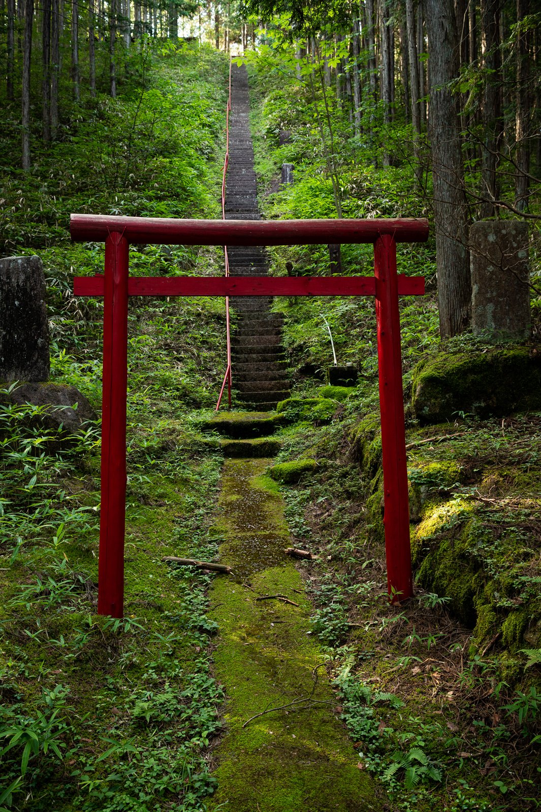 dokubutu on Twitter: "射出されたい。 https://t.co/vfA5zIJ7DO" / Twitter