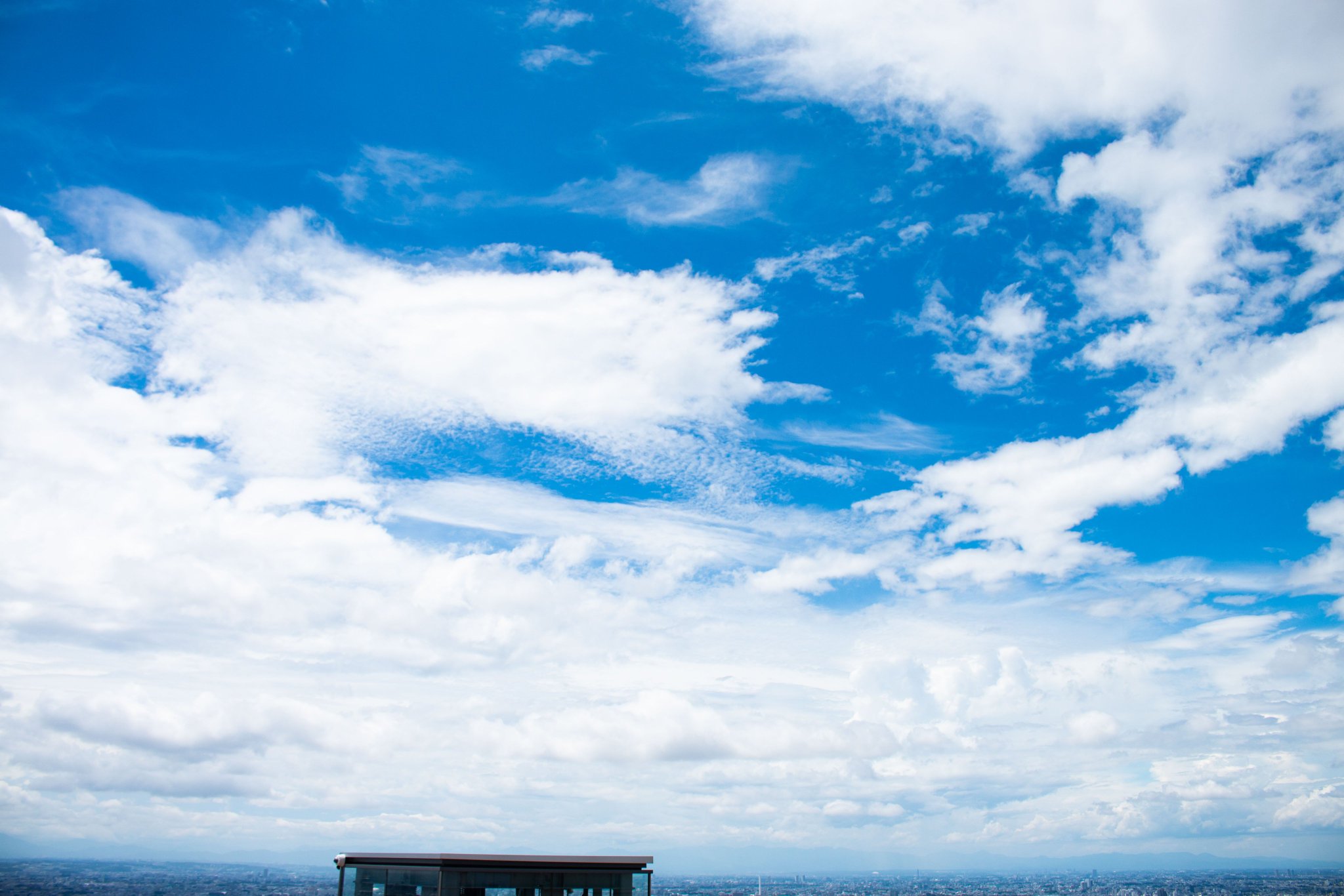 loundraw / FLAT STUDIO on Twitter: "みんなで高い場所に行ってきた https://t.co/fY2tnb91zG" / Twitter