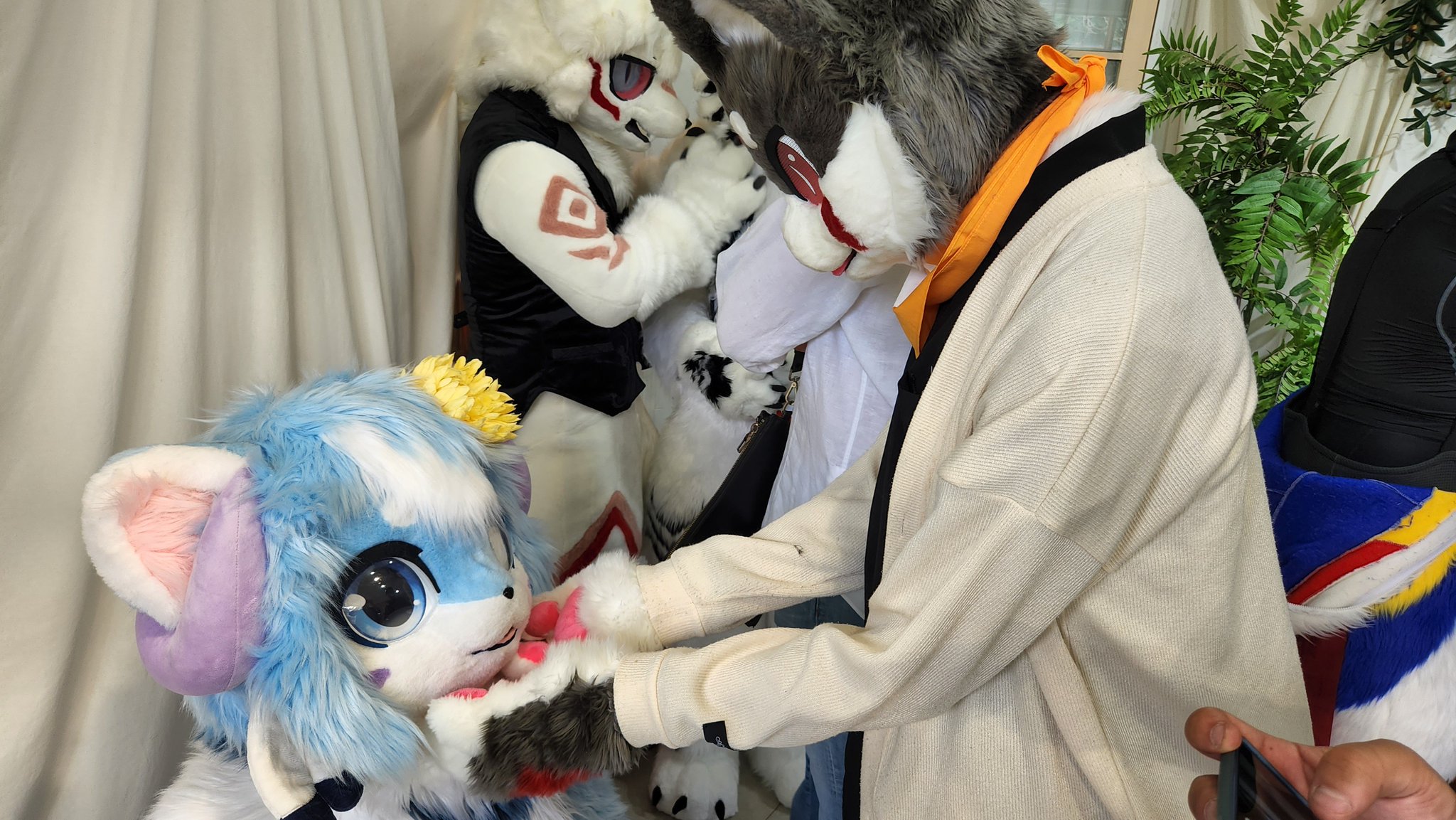 Tori on Twitter: "Today is #FursuitFriday in California (아님) 턱받침!! https://t.co/pVXzuI60t2 ...