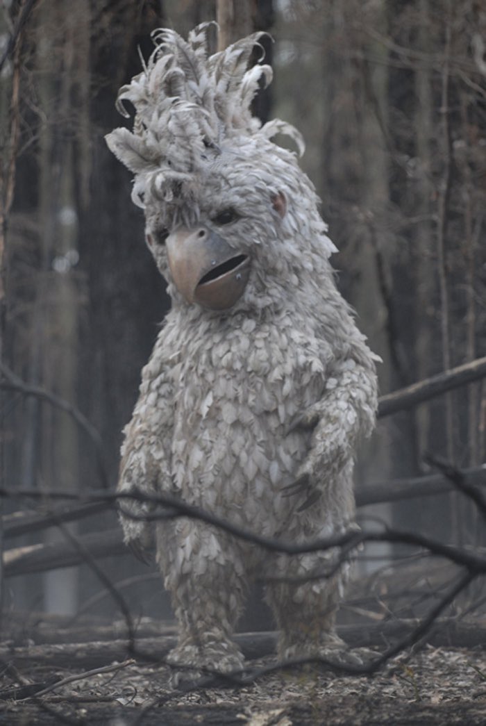 Where The Wild Things Are Douglas