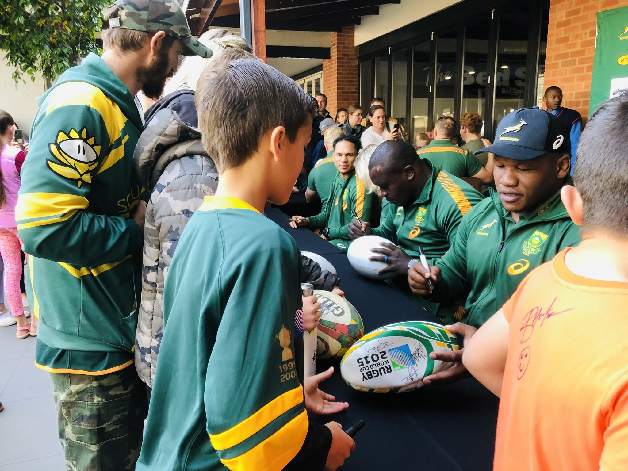 Springboks Wallpaper 2022