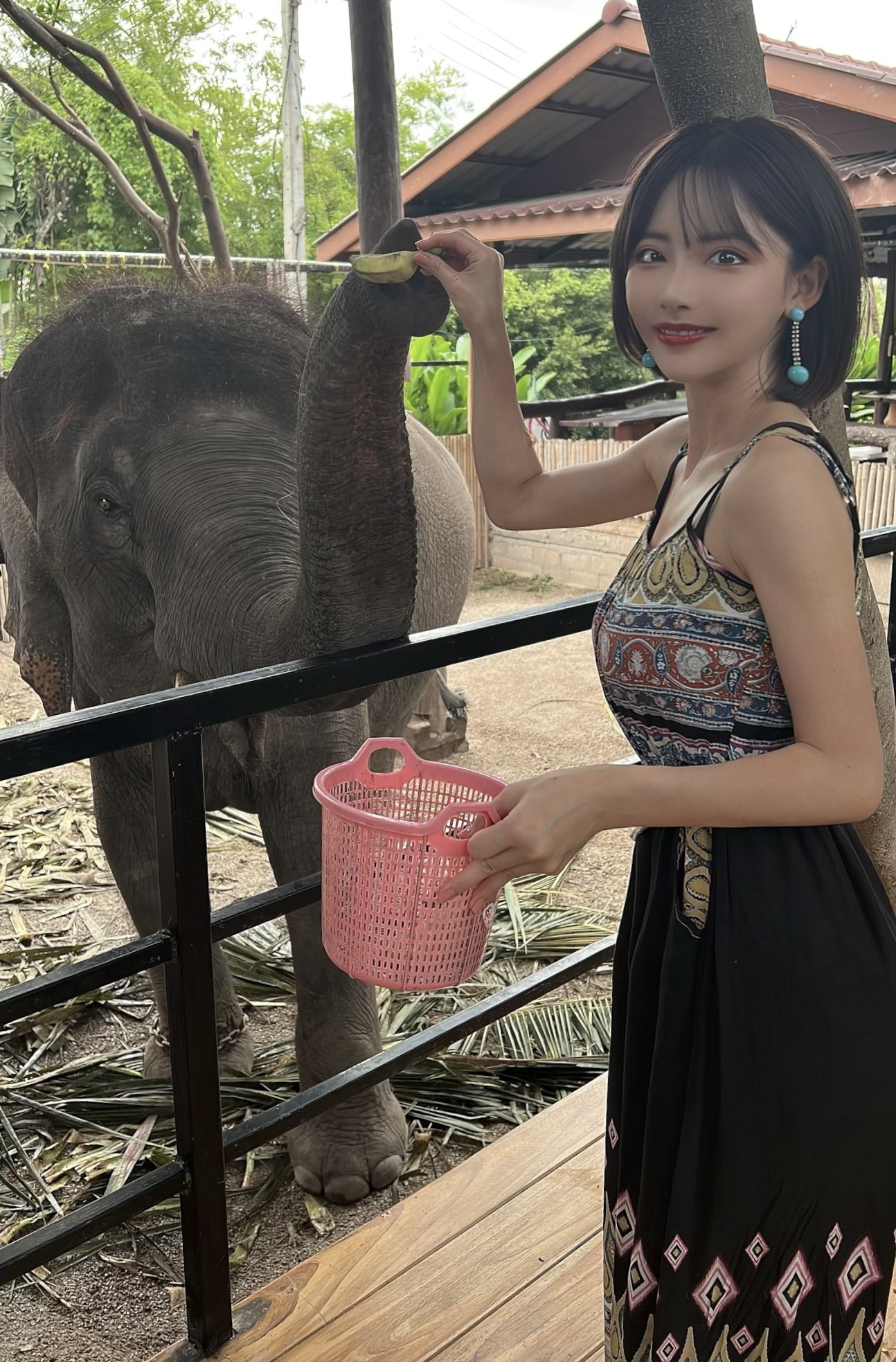 深田咏美｜深田えいみ｜Eimi Fukada on Twitter: "我和大象交了朋友🐘🇹🇭 你要和我交朋友吗？等你来哟！😘 『91视频』 https://t.co/b0AhobtU0v ...