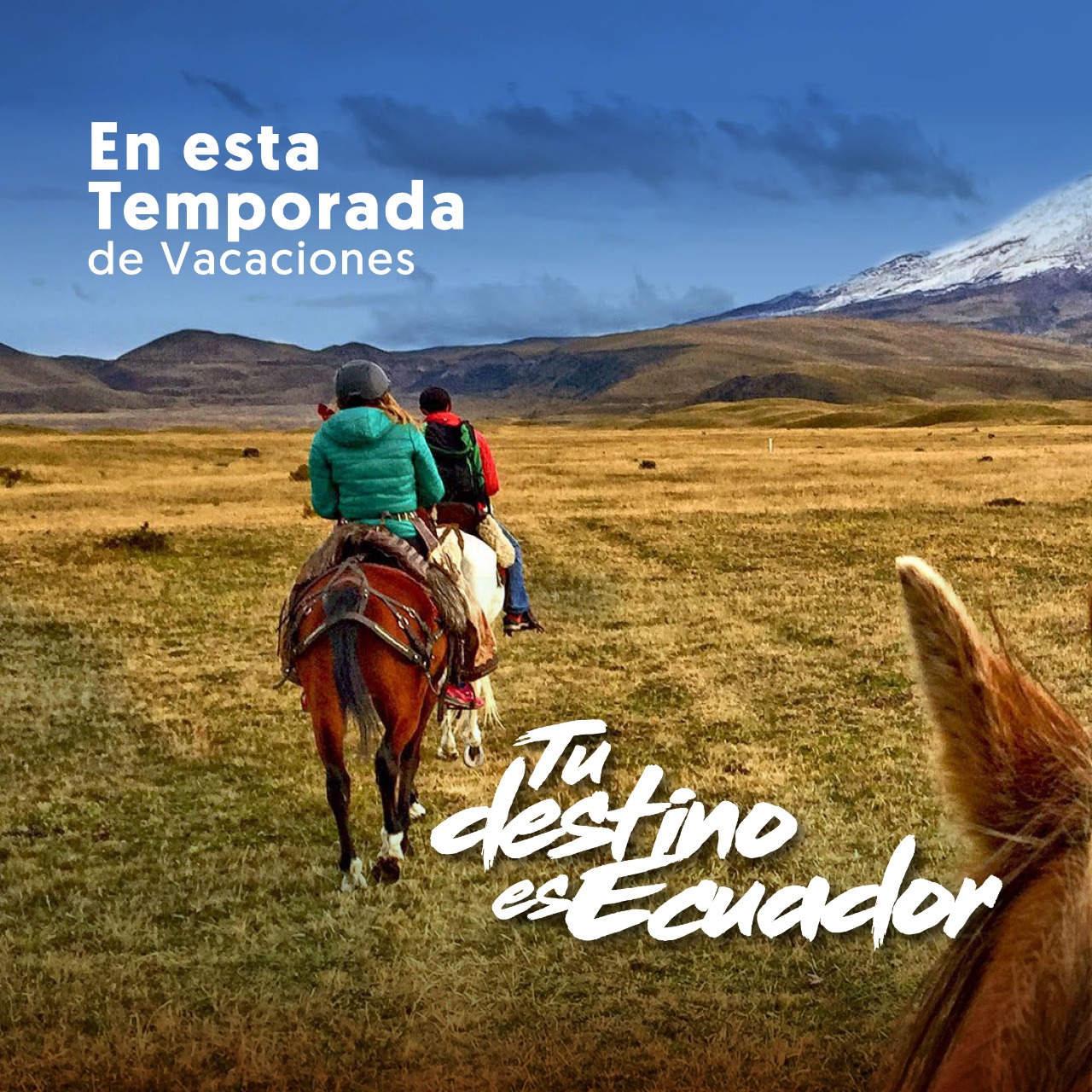 Viaja Ecuador on Twitter: "¡Ecuador tiene tanto para ofrecer en esta # ...