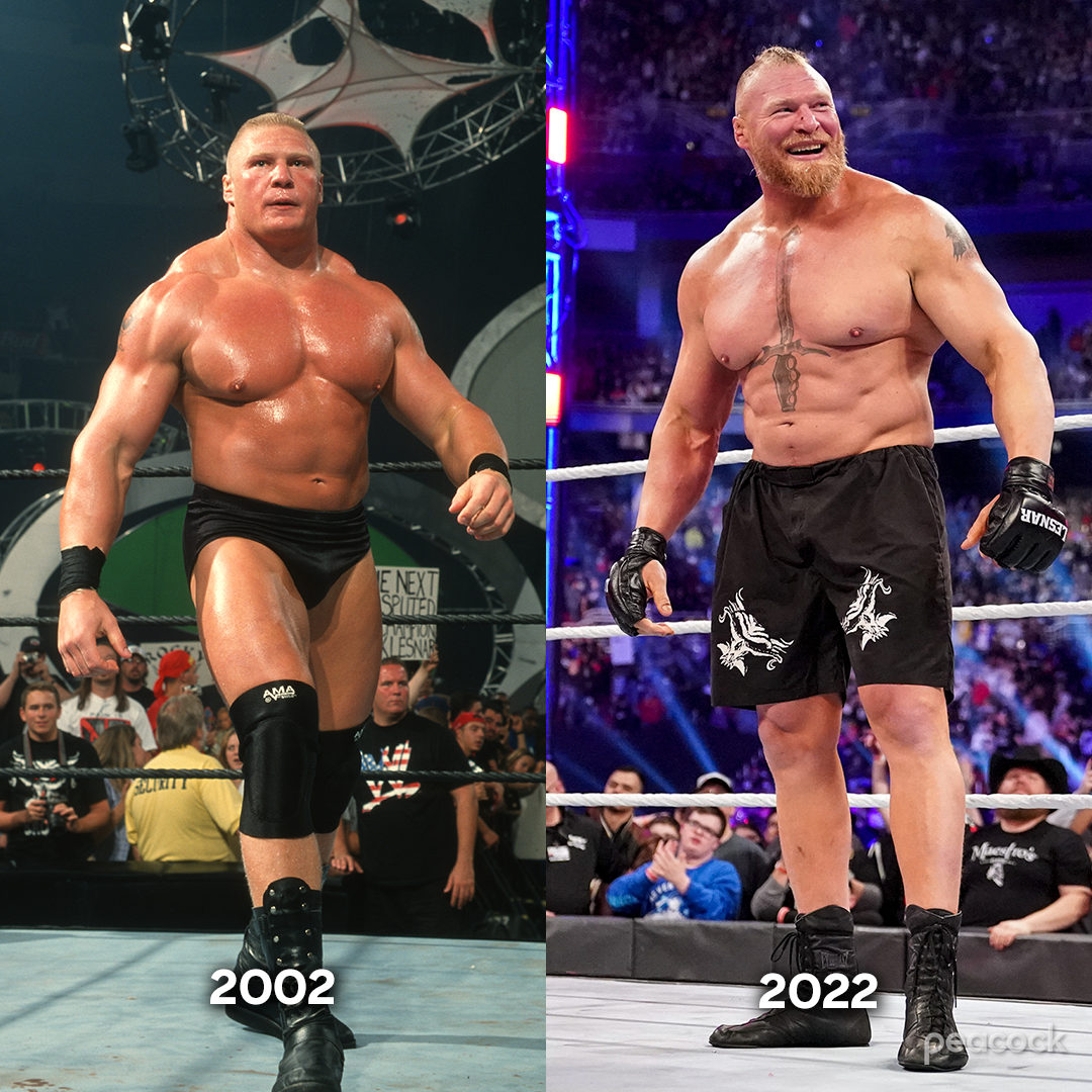 The Rock Vs Brock Lesnar Summerslam 2002