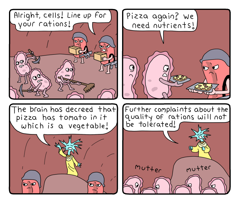 「🦠New comic: Cells at Overwork🦠 」Zach | Last Place Comicsの漫画