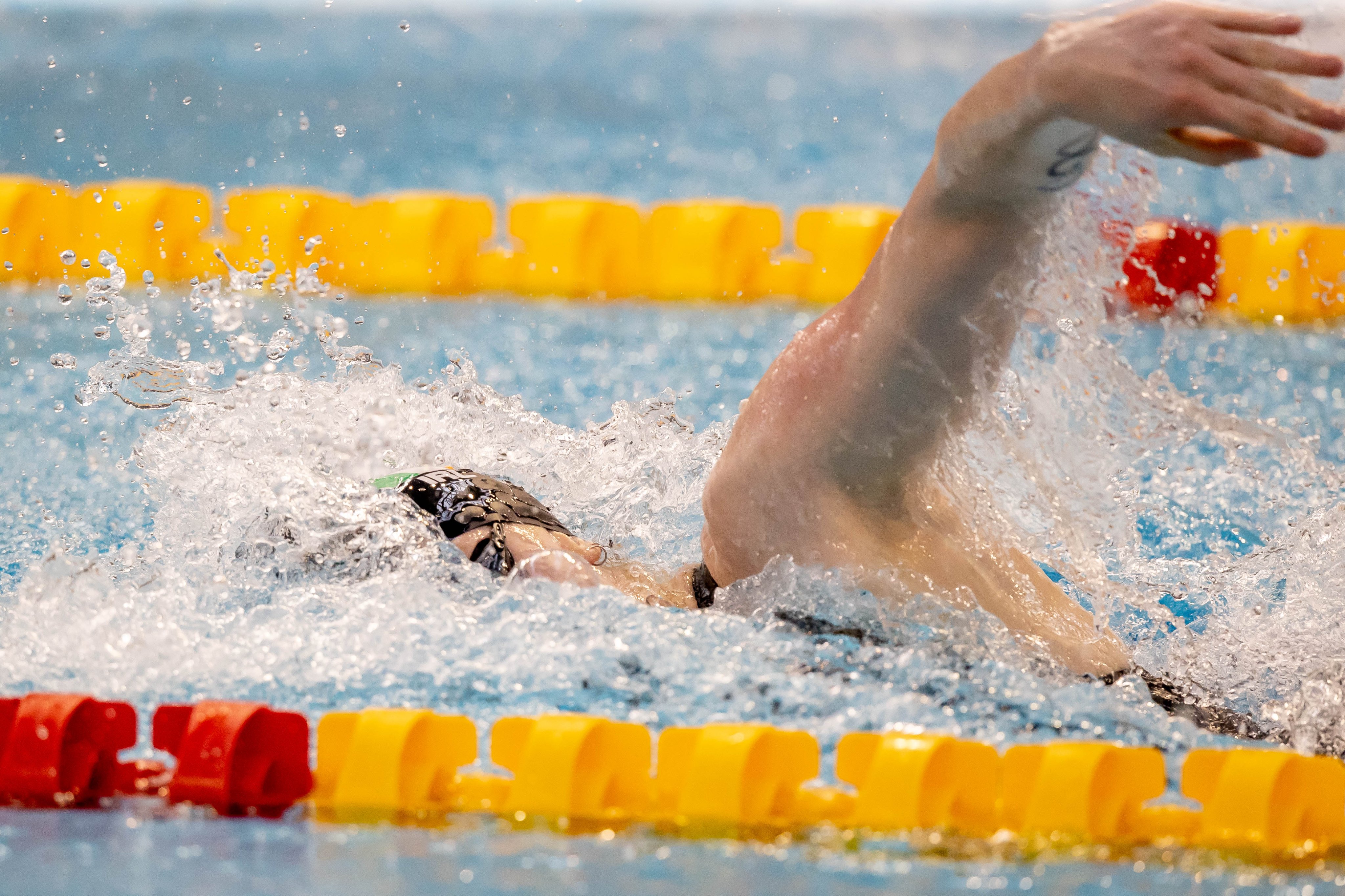 Danielle Hill (@Danielle_FBD) / Twitter