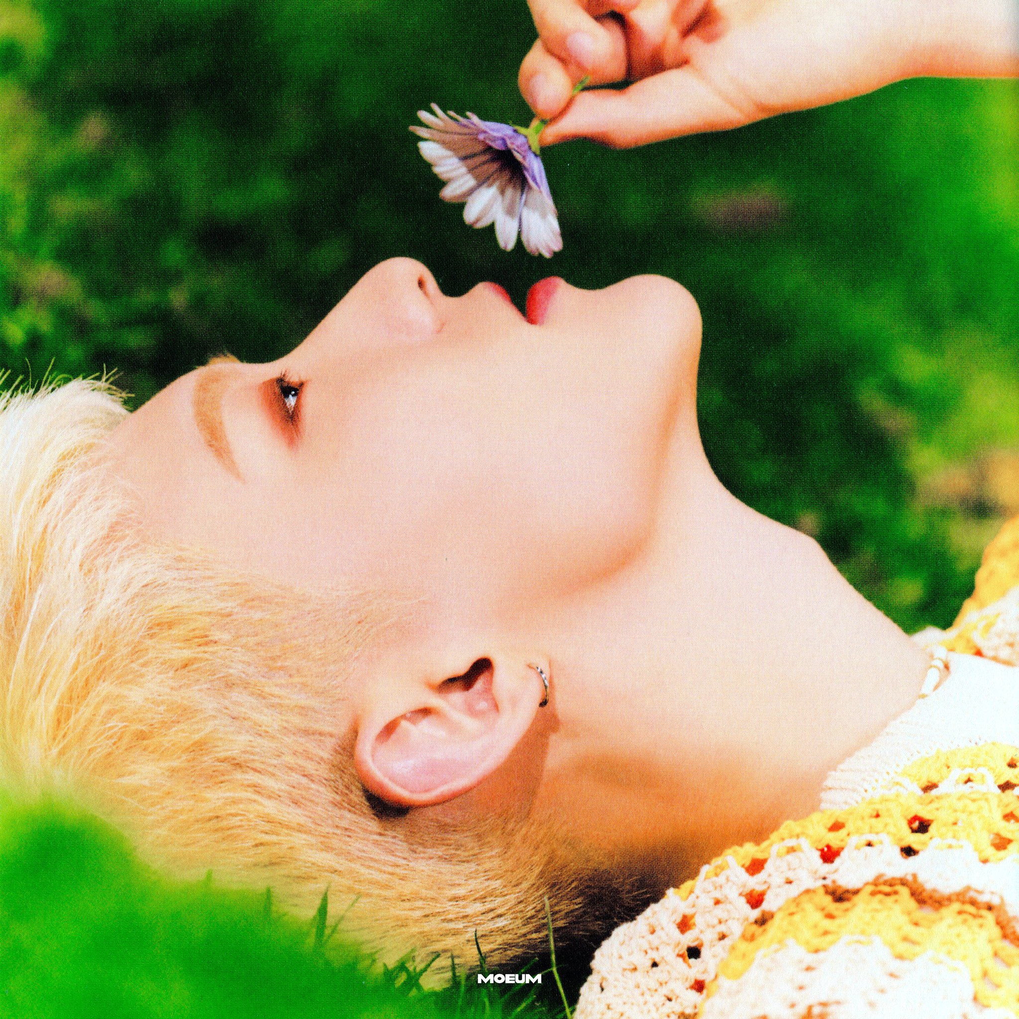 moeum on Twitter: "[SCAN] SECTOR 17 컴팩트 버전 #호시 #세븐틴 https://t.co/RTsjoRpzkJ" / Twitter