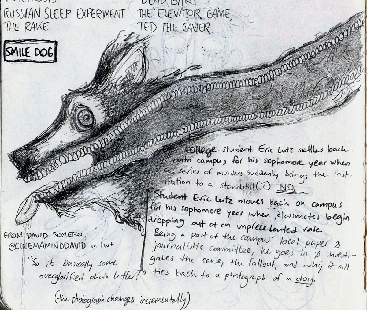 The Rake Vs Smile Dog