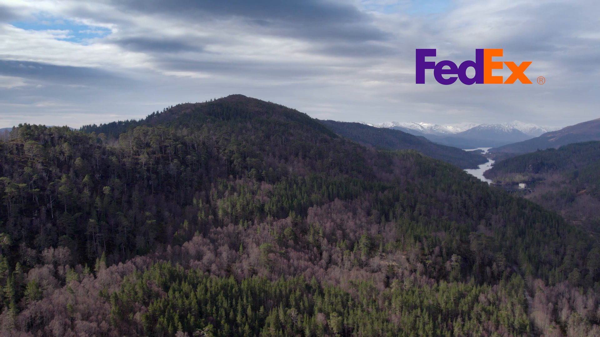 FedEx (@FedEx) / Twitter FedEx (@FedEx) / Twitter