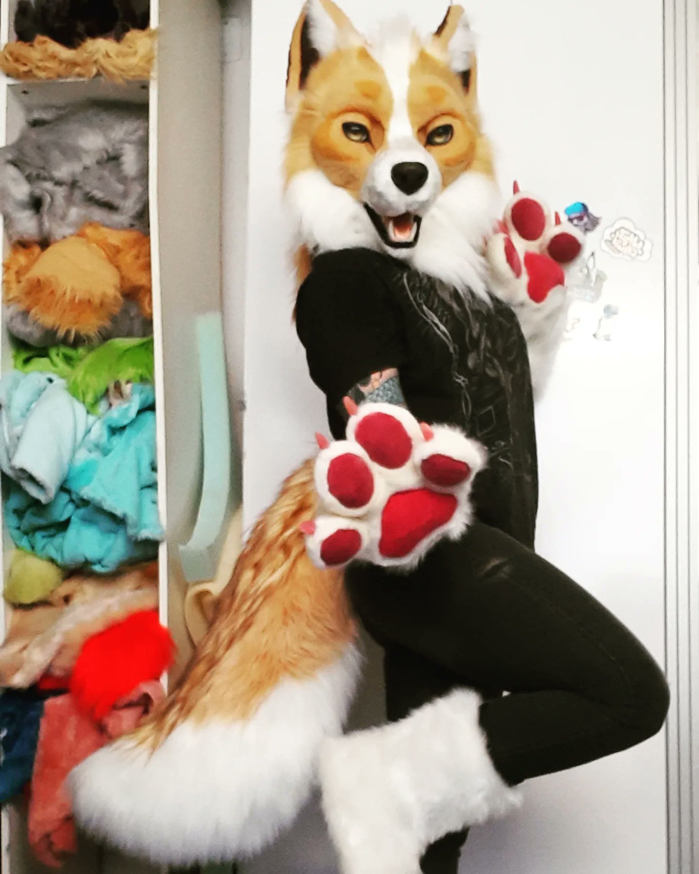 Coby Wong (@cobyfursuits) / Twitter