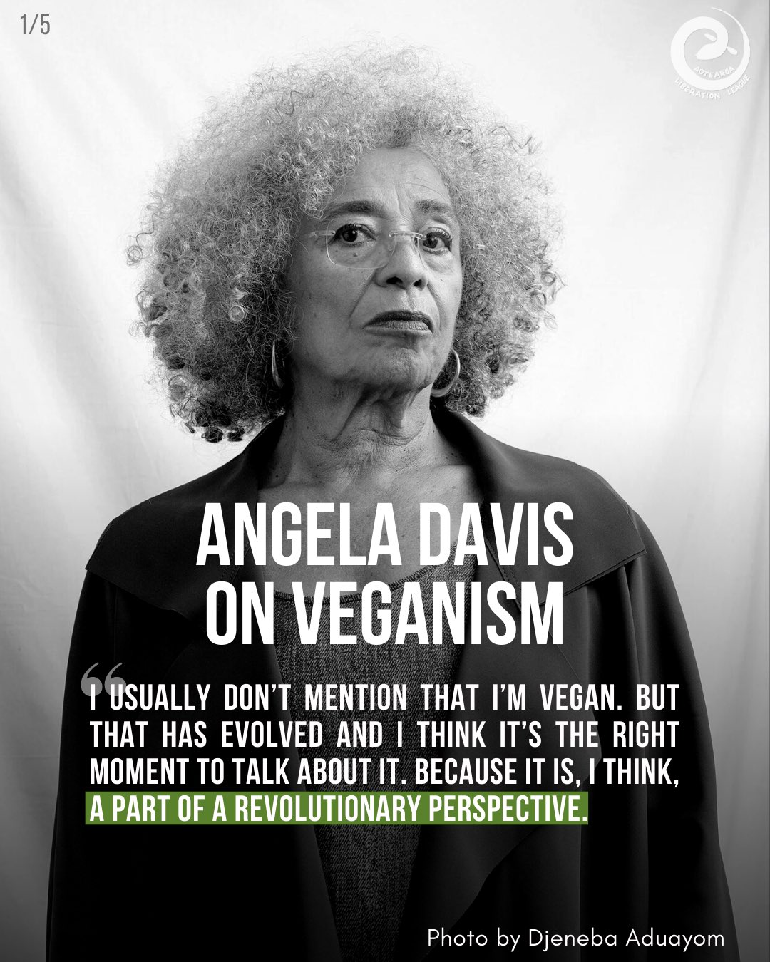 Angela Davis Quotes