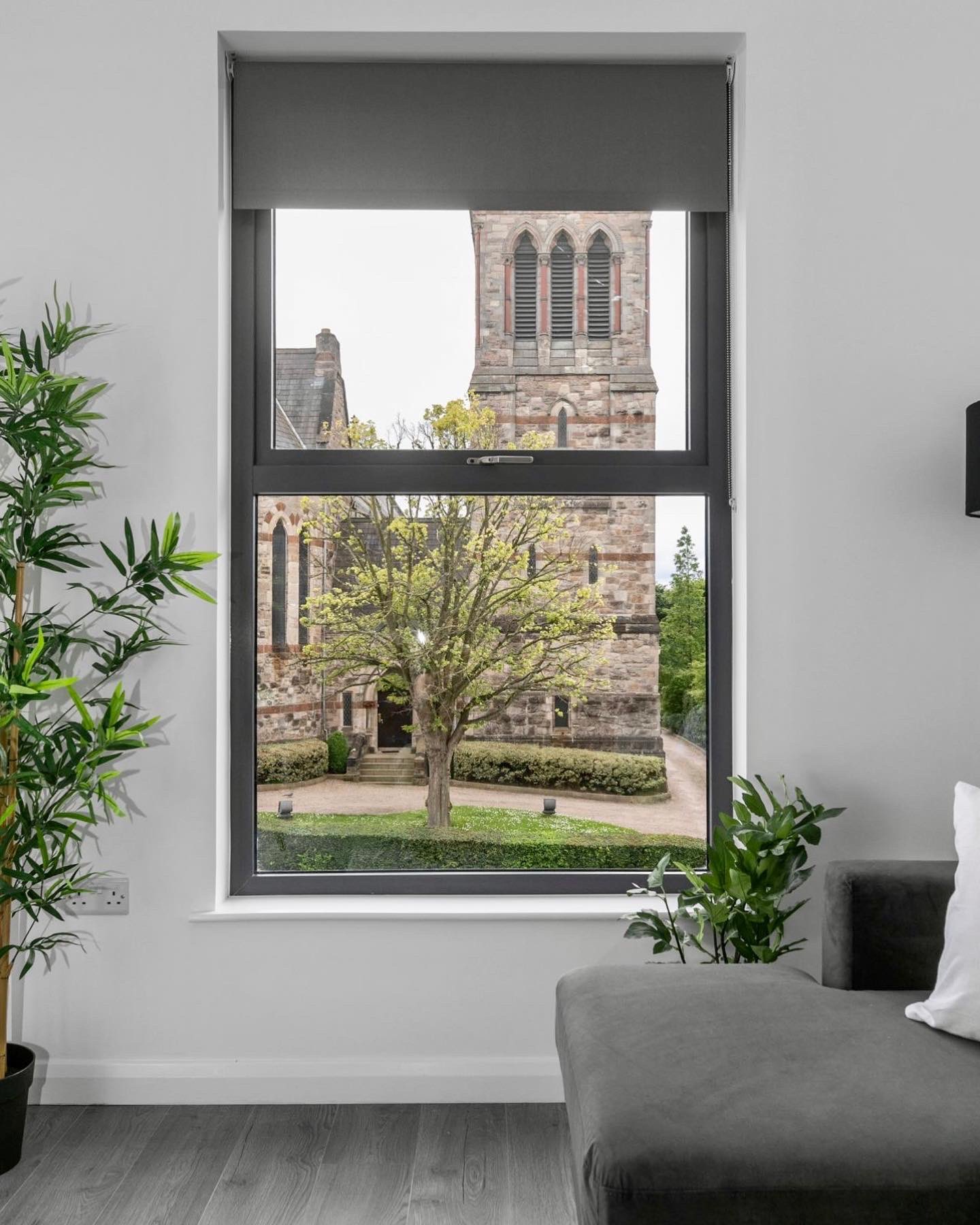 AssetBee (@assetbee1) / Twitter