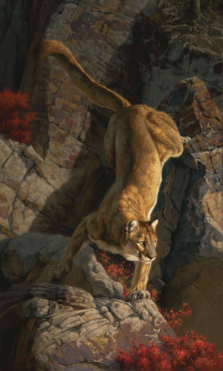 Greg Beecham Studio (@gregbeechamart) さんのイラスト・マンガ作品まとめ (37 件) - Twoucan