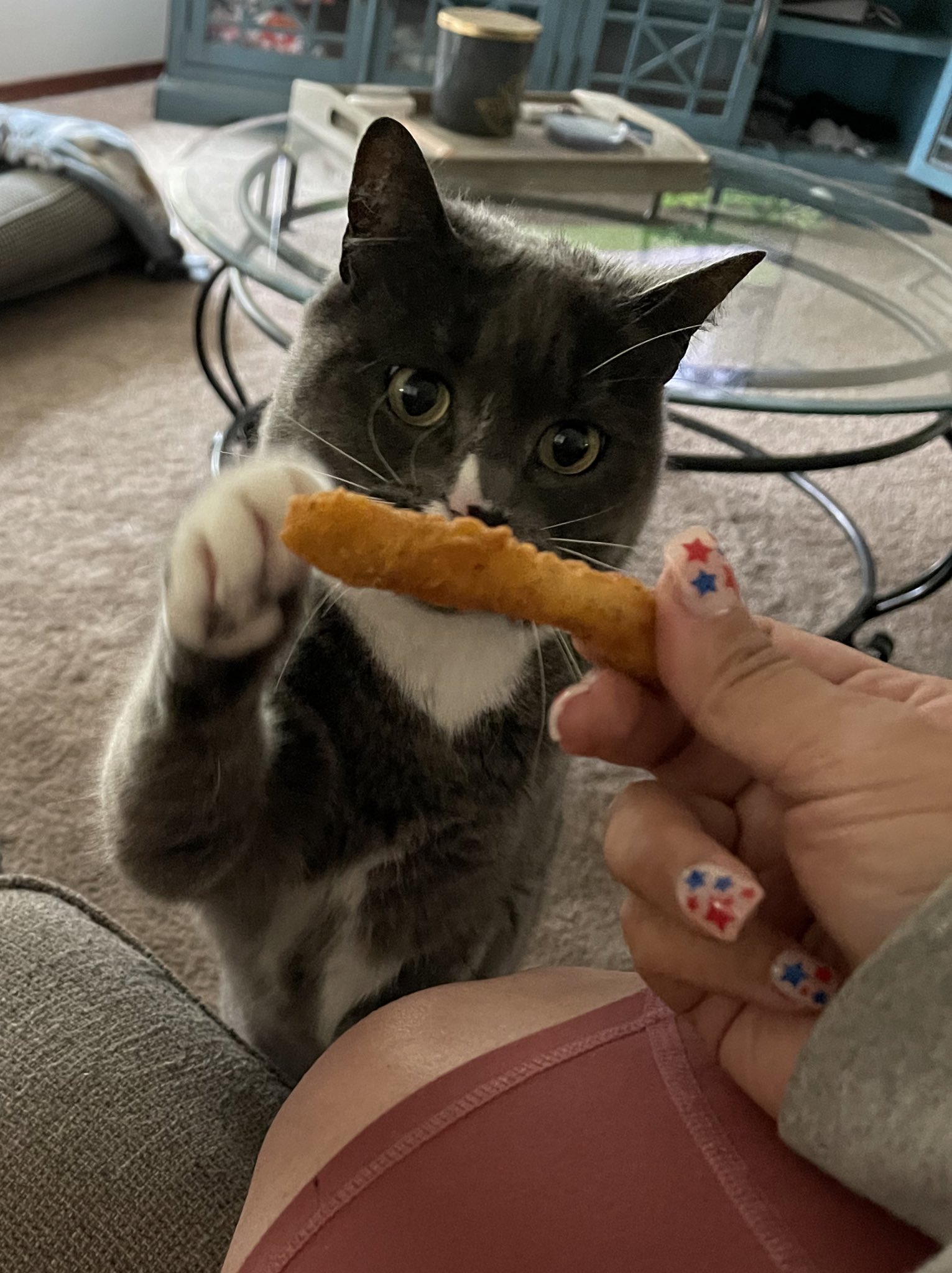 True Crime Cat Lawyer on Twitter: "#chickenfries @BurgerKing https://t.co/MPYrJ3EdaU" / Twitter