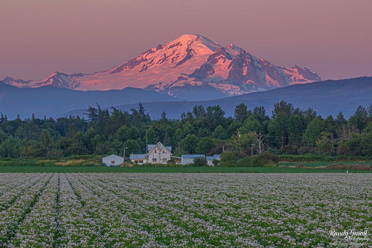 Isaac 🇺🇦 Alexander on Twitter: "RT @RandySmall: Mt Baker stands tall tonight over these ...