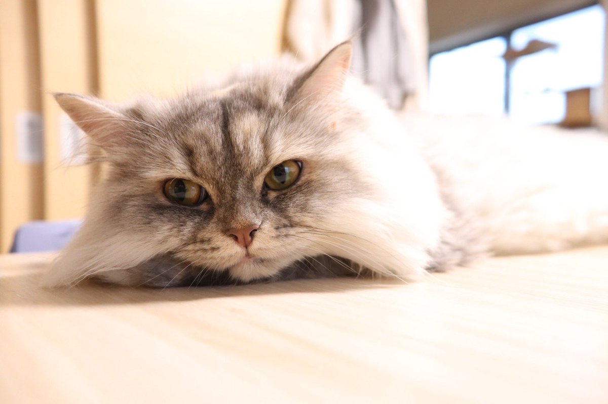 Yusuke MASUDA(@arekoreiroha) - Twilog (ツイログ)