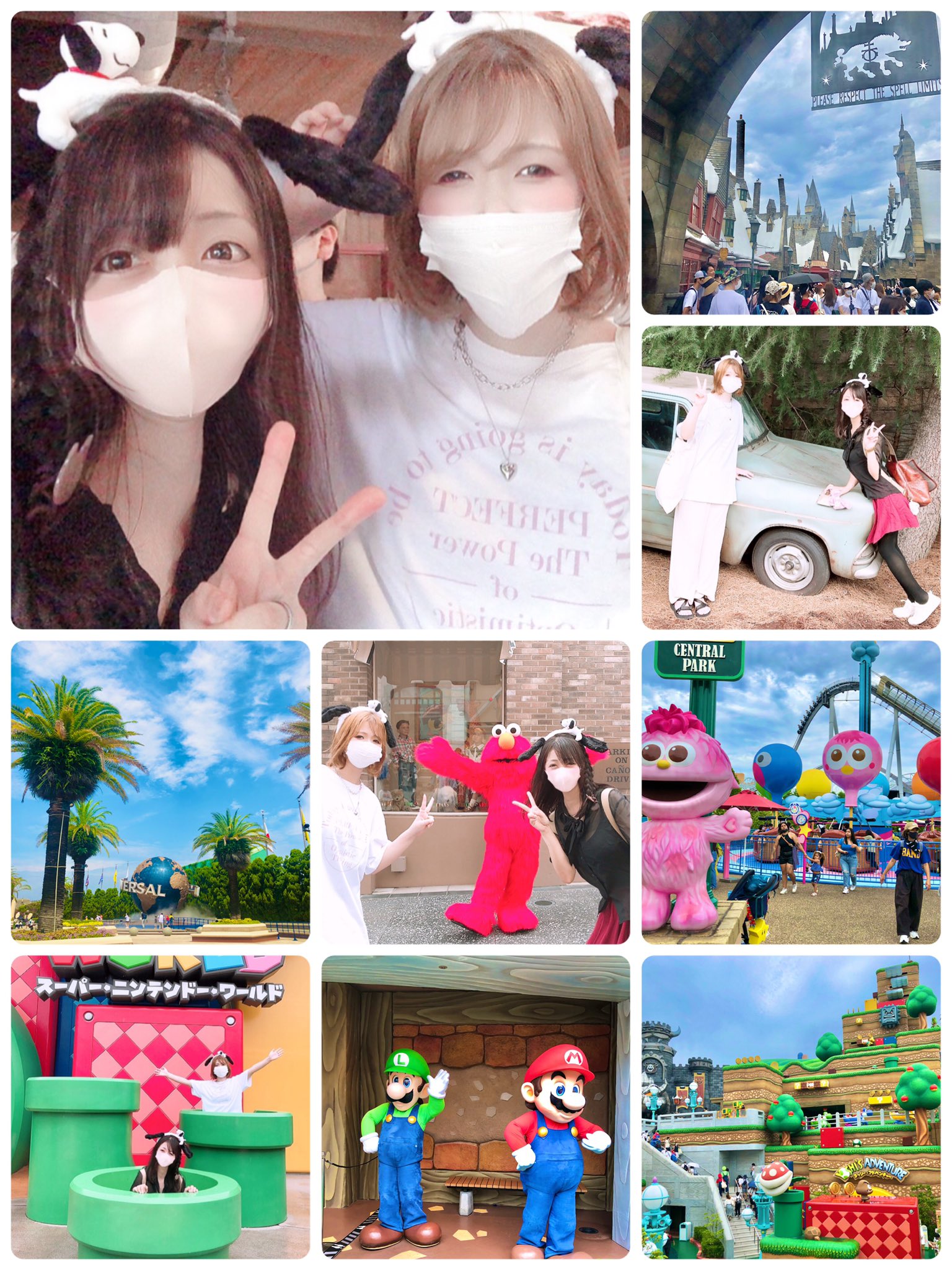 ねこちゃんだよ🐱 (@nekochan_twitch) / Twitter