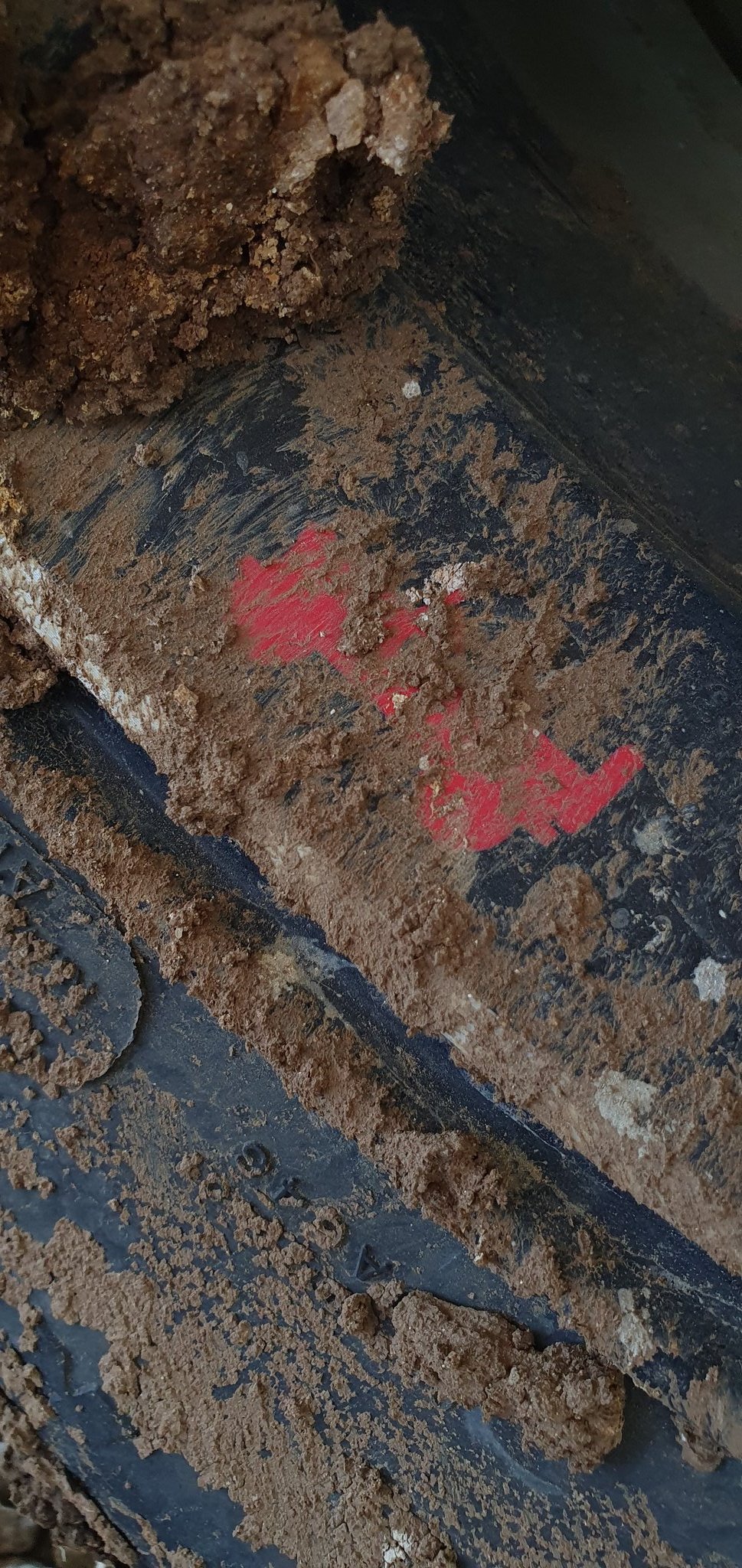 Raúl Ferra (@Raul_MFerra) / Twitter