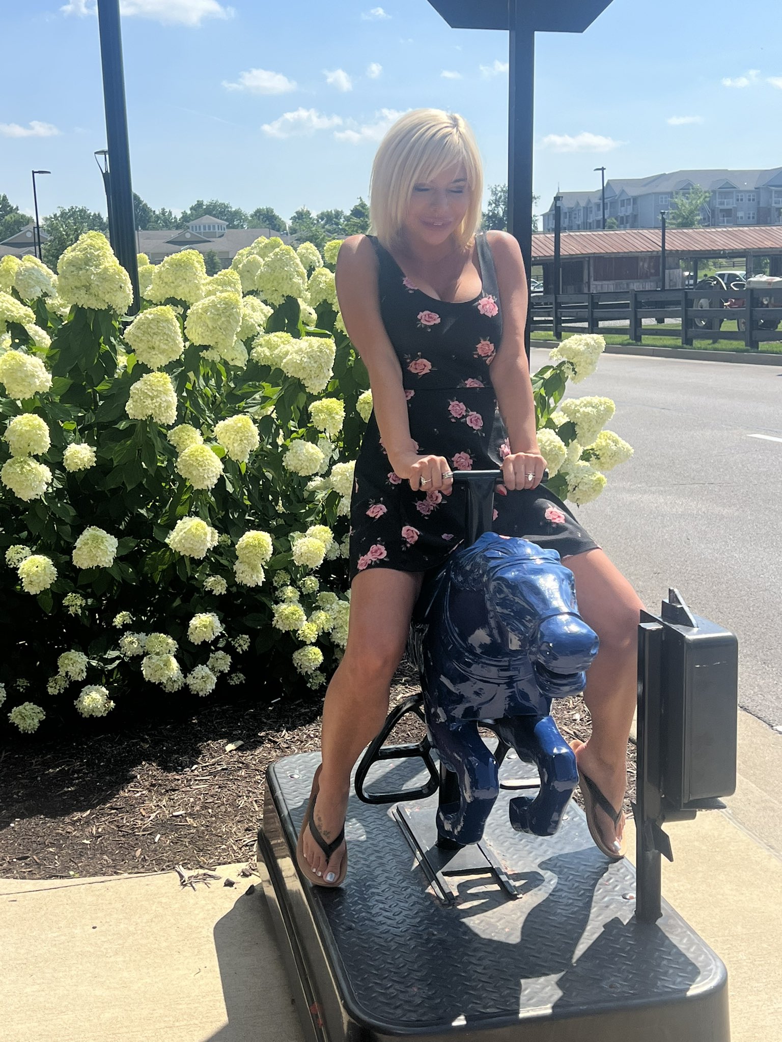 TW Pornstars - 1 pic. Sara St. Clair. Twitter. Getting lucky in Kentucky 🐴💙 #TourDeTatas. 10:24 ...