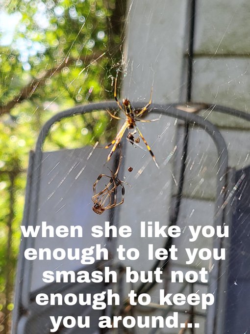 TW Pornstars - Ferralyn River. Pictures and videos from Twitter.