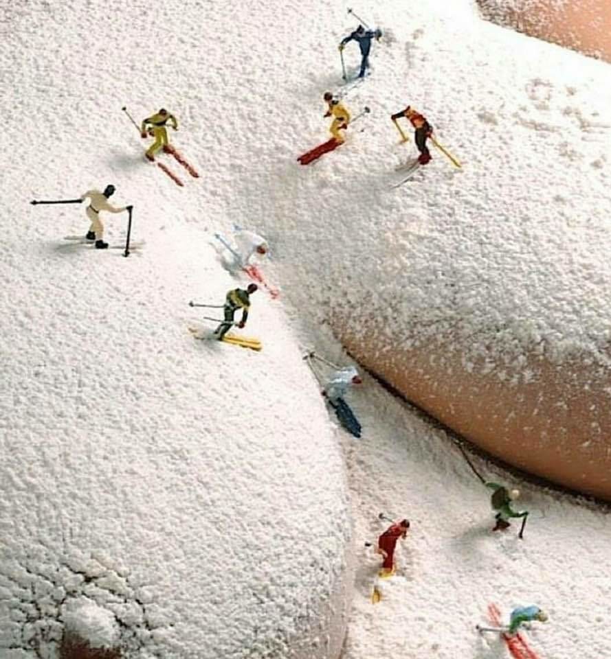 Kate Layne 🍄🌿🌎 ️ ️ on Twitter: "https://t.co/7yJA5nnR3s" / Twitter