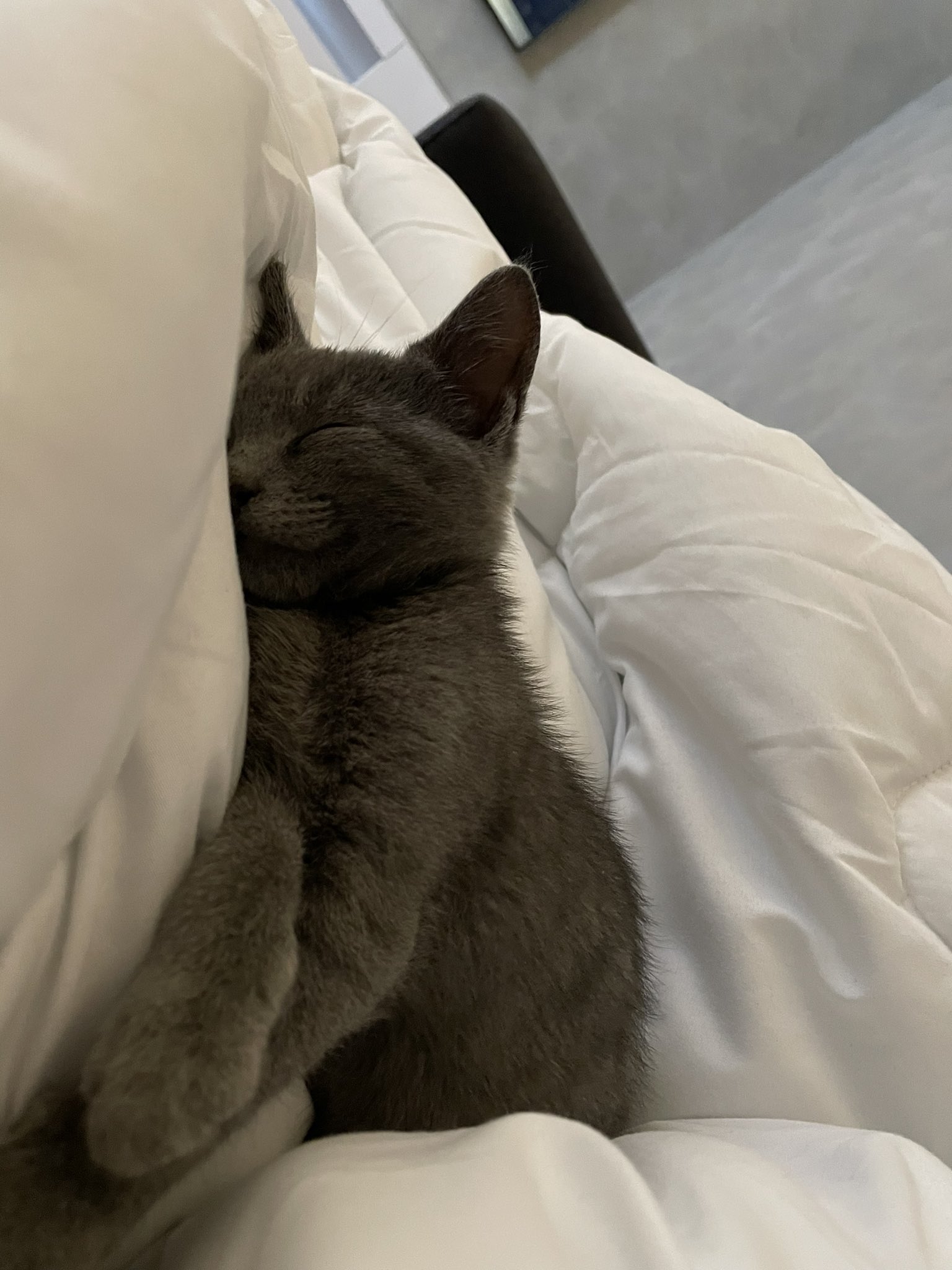 khunaa on Twitter: "Gm fam https://t.co/ENM8CAnGh1" / Twitter