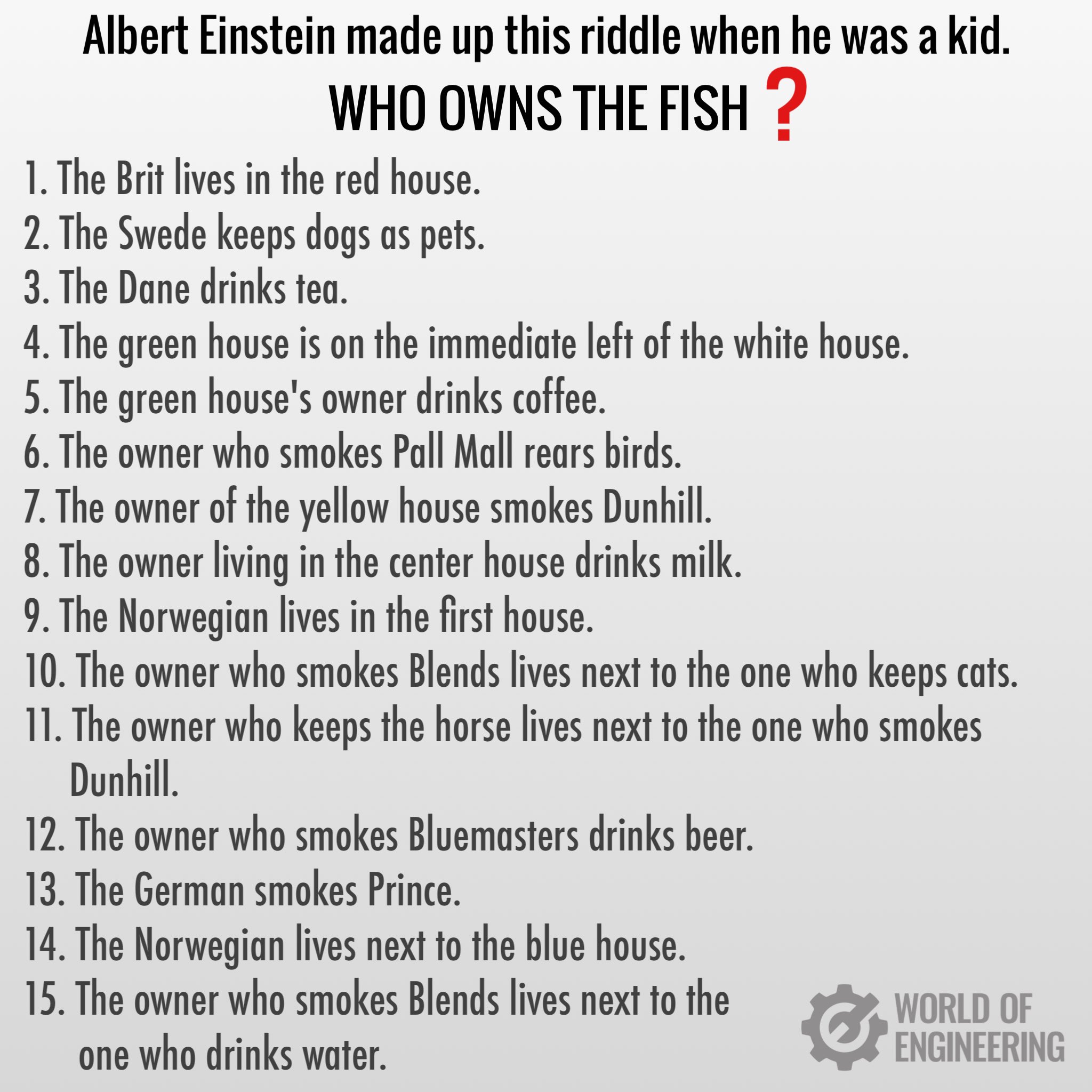 Einstein Puzzle Houses Popular | www.gbu-taganskij.ru