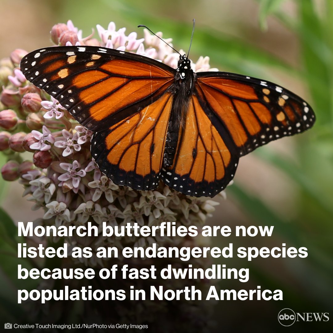 The International Union for the Conservation of Nature has added the ...