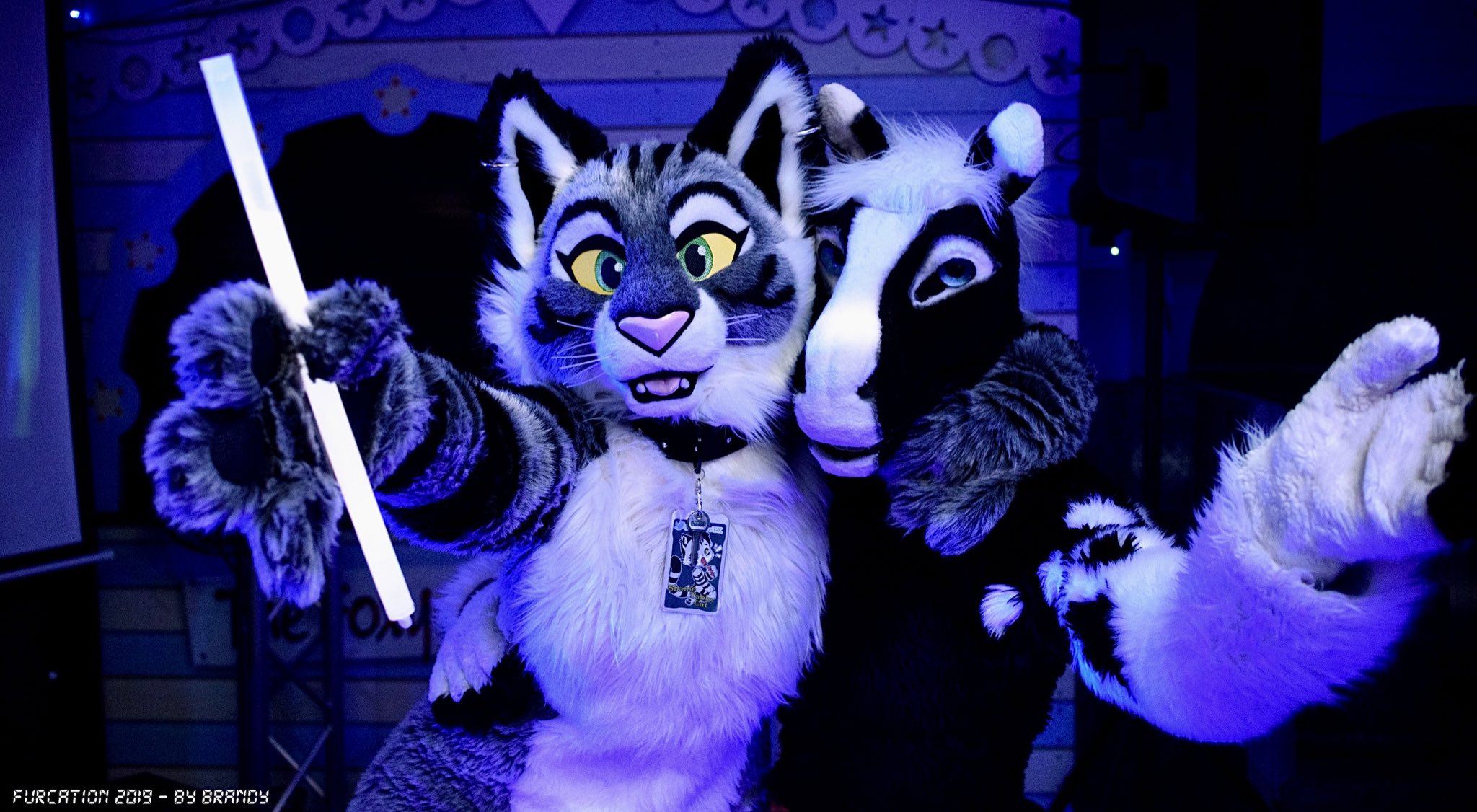 Shanie Tabby Cat on Twitter: "See you at the @LondonFurs boat party and ...