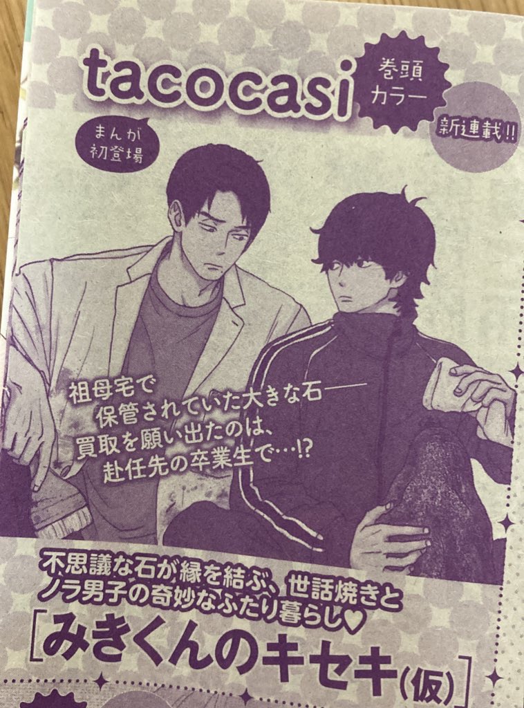 tacocasi (@_tacocasi) / Twitter