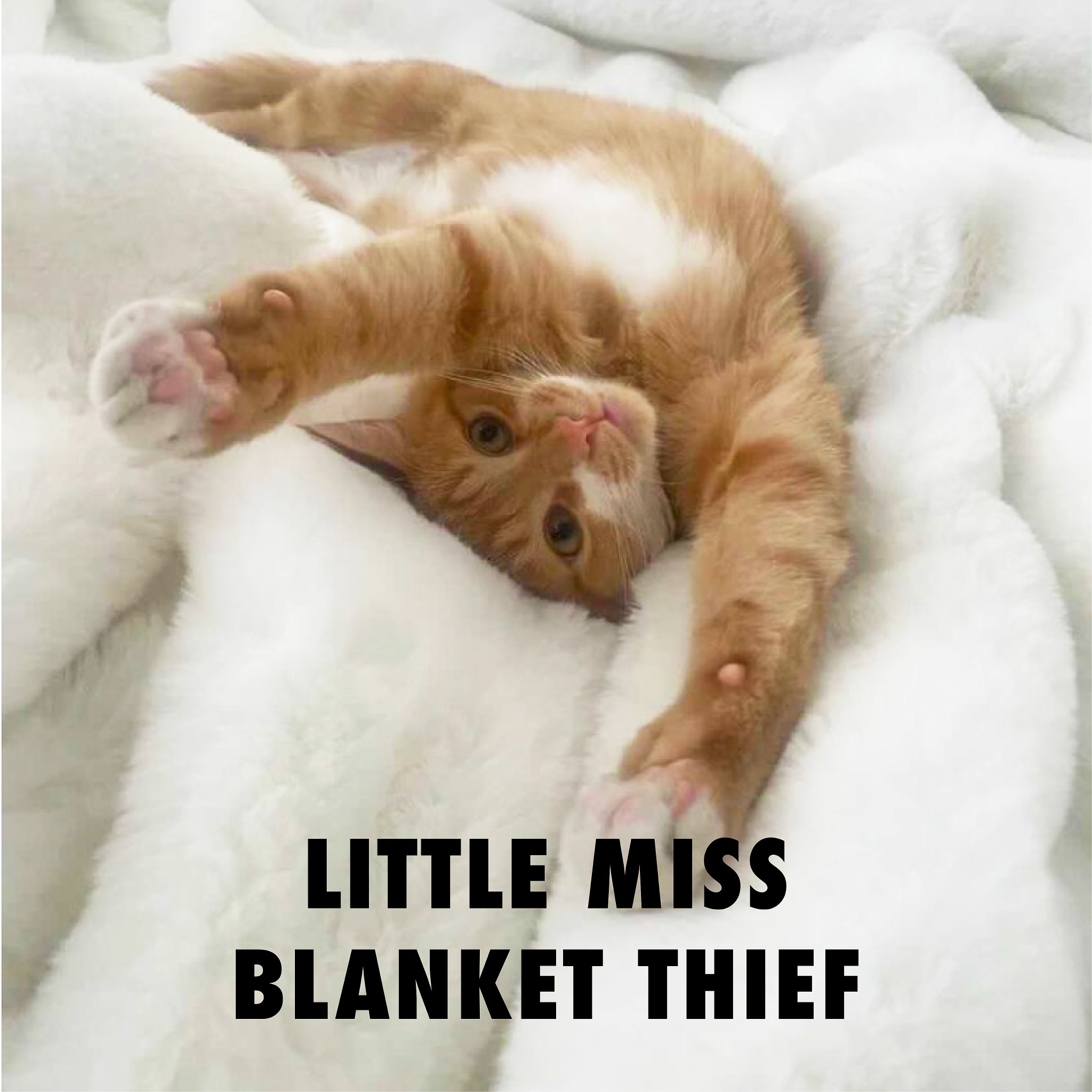 Duvet Thief Memes Meme Throw Blankets For Sale | Redbubble
