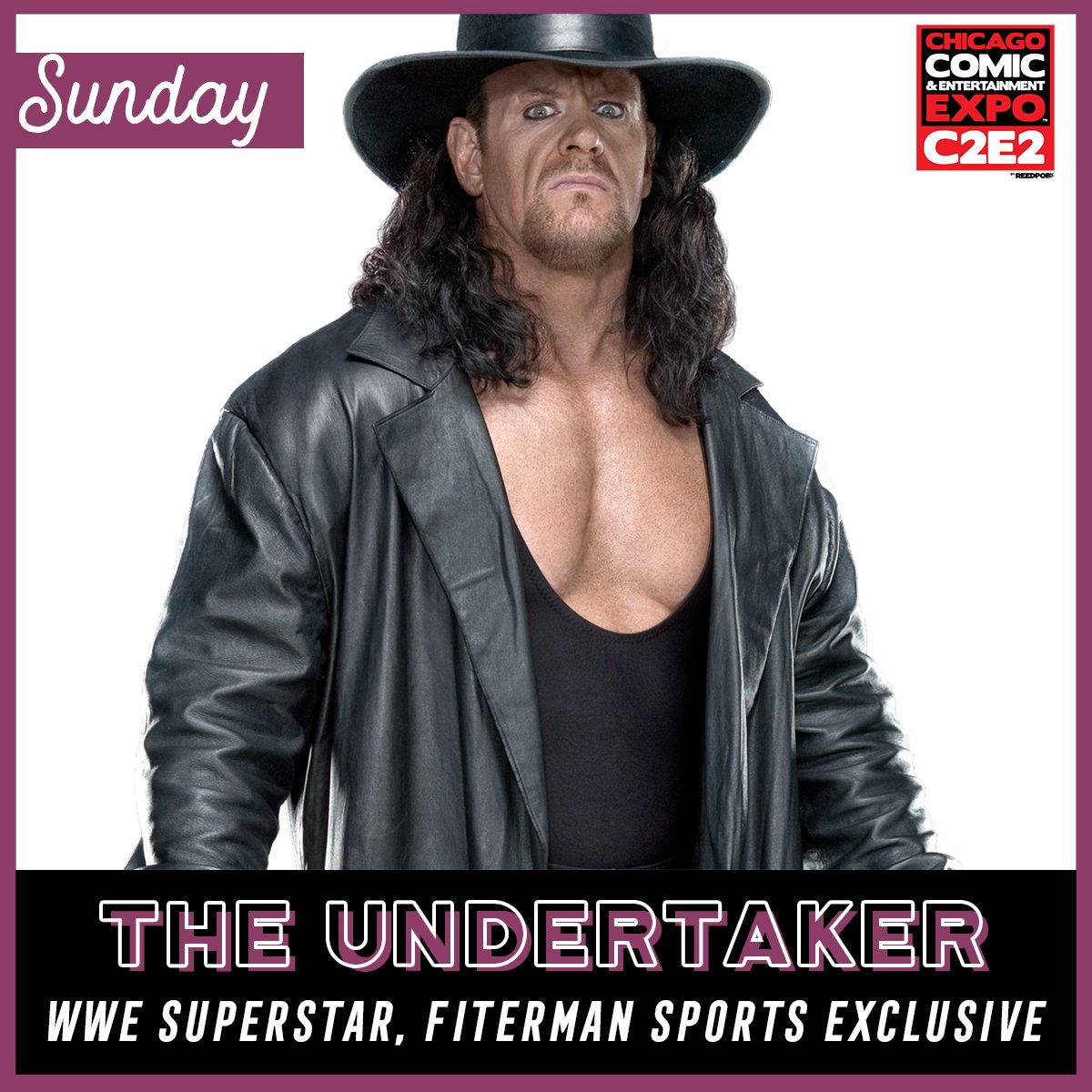 Undertaker Wwe Superstar